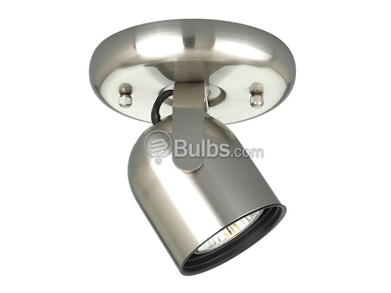 Directional Lighting Ceiling Mount | Shelly Lighting