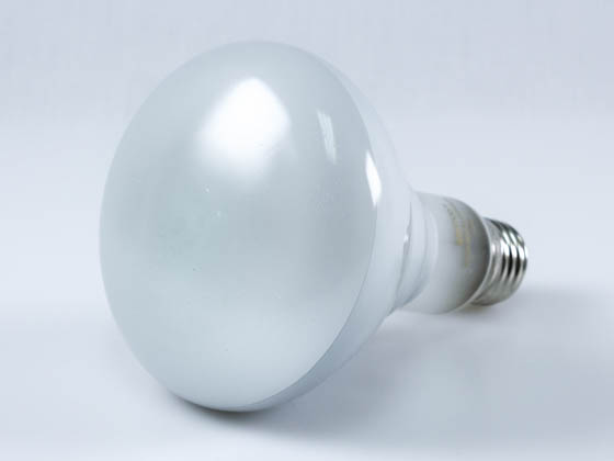 Shatterproof Light Bulb Coating | Shelly Lighting