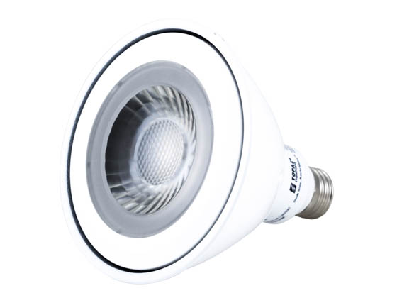 Topaz 100 Watt Equivalent, 17 Watt 120 Volt Dimmable 5000K 40 Degree ...