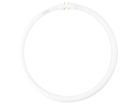 Satco 55W T5 Circline Fluorescent Bulb, 4100K, 2GX13 (4-Pin) Base | FC55T5/HO/841 | Bulbs.com