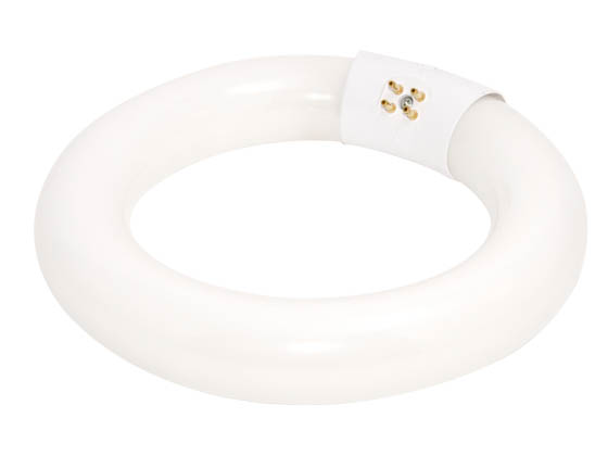 Philips Circline Fluorescent Light Bulb | Shelly Lighting