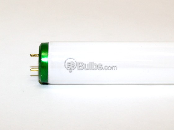 Philips 40 Watt, 48 Inch T12 Bright White Fluorescent Bulb | F40T12/850 ...