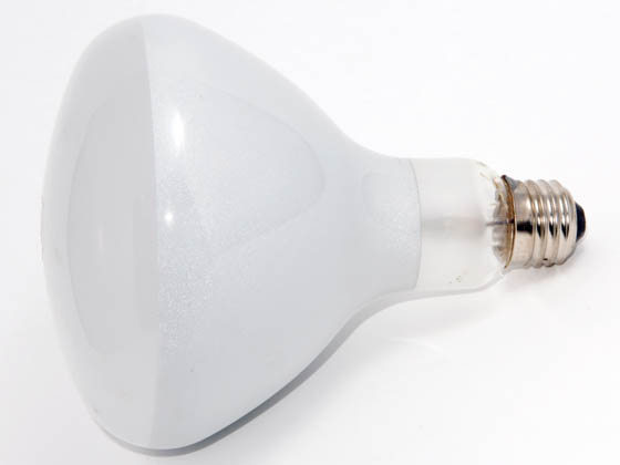 500w R40 Pool Light Bulb | Shelly Lighting