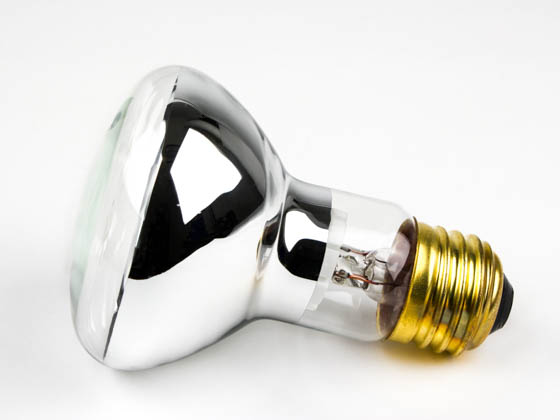 100 Watt, 12 Volt R20 Low Voltage Spa/Swimming Pool Reflector Bulb ...