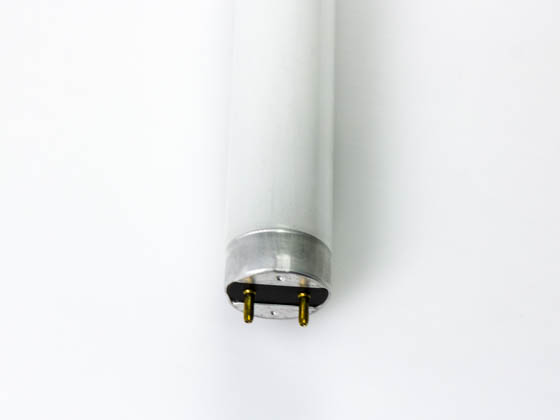 32 Watt, 48 Inch T8 Safety Coated Food Service Fluorescent Bulb | F32T8 ...