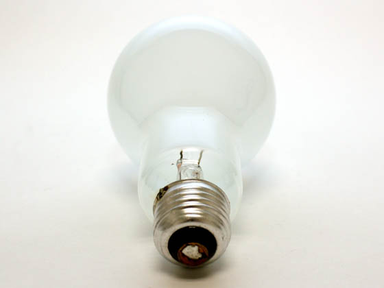 Eiko 500W 120V ECT Photoflood Bulb | ECT | Bulbs.com