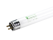 Fluorescent Bulbs | Bulbs.com